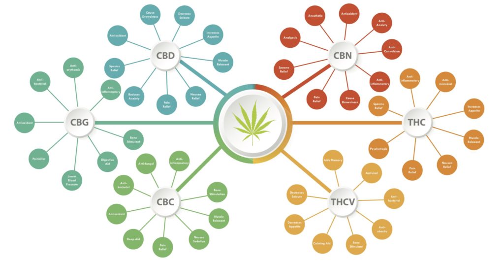 What Are Minor Cannabinoids? - Elevate Holistics