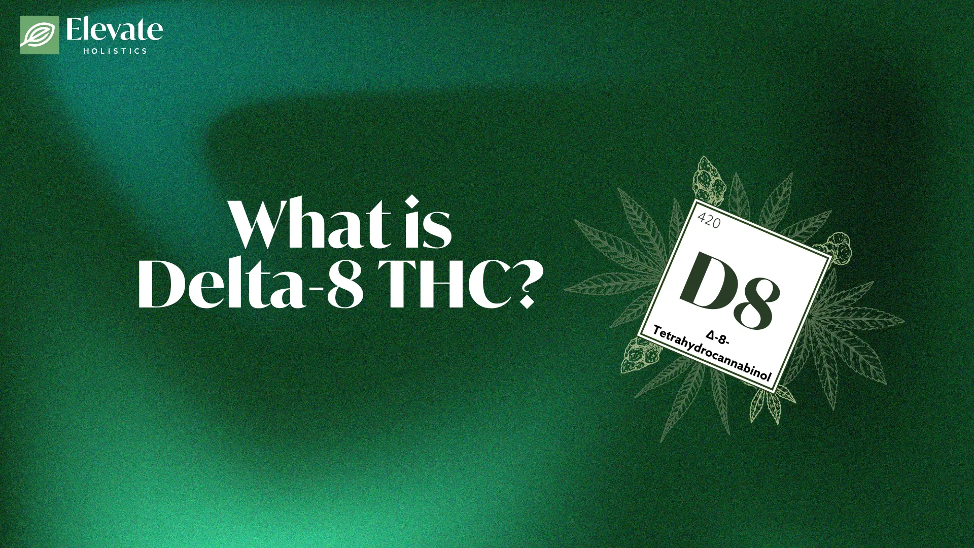 What Is Delta-8 THC? | Elevate Holistics
